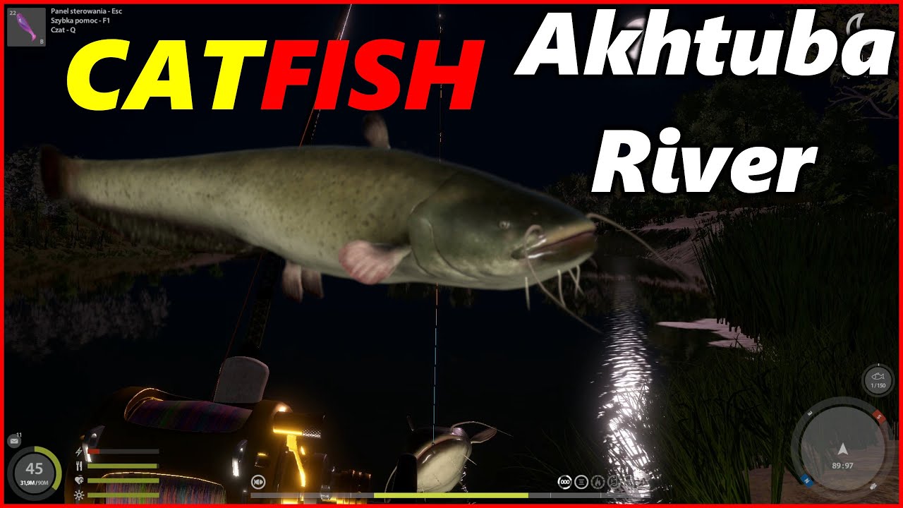 Russian Fishing 4 | Akhtuba River Catfish - Sum - #44 - YouTube