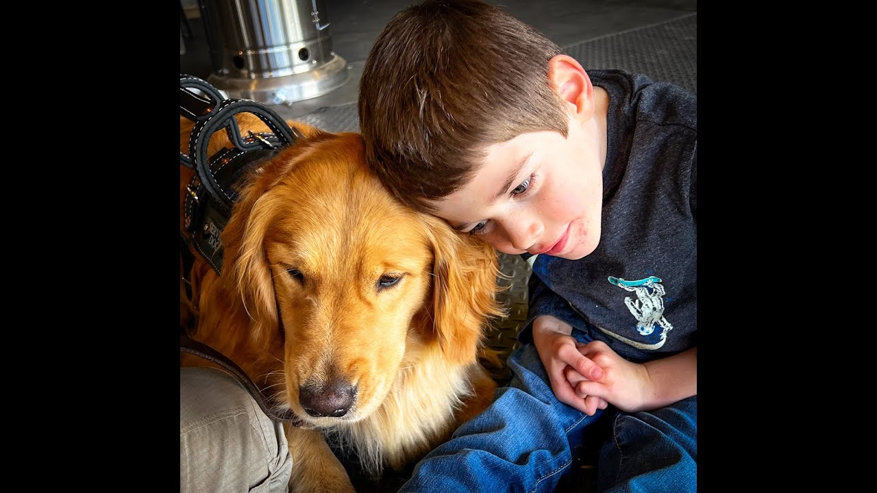 Everest's Service Dog Fundraiser - YouTube