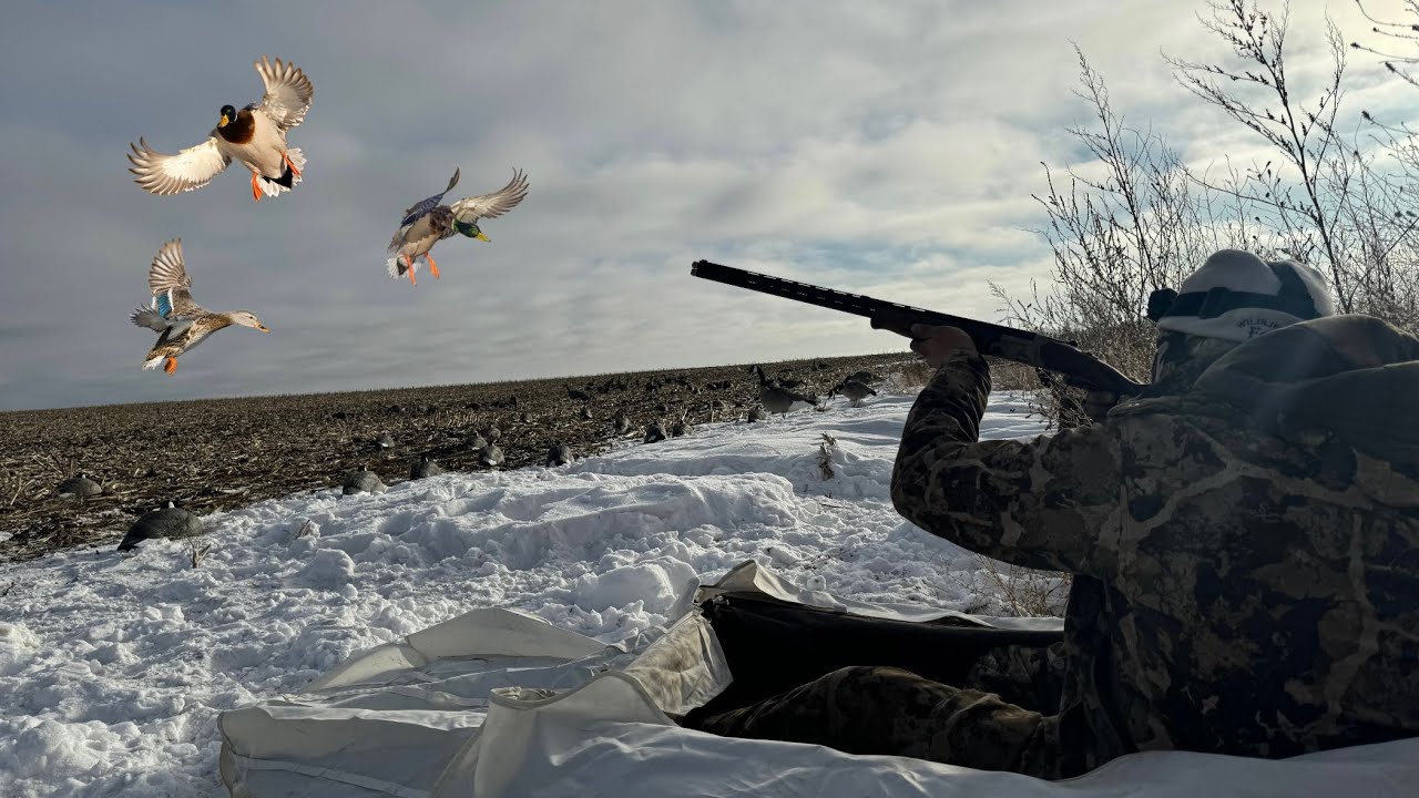 EPIC Late Season Duck Hunt With .410! - YouTube