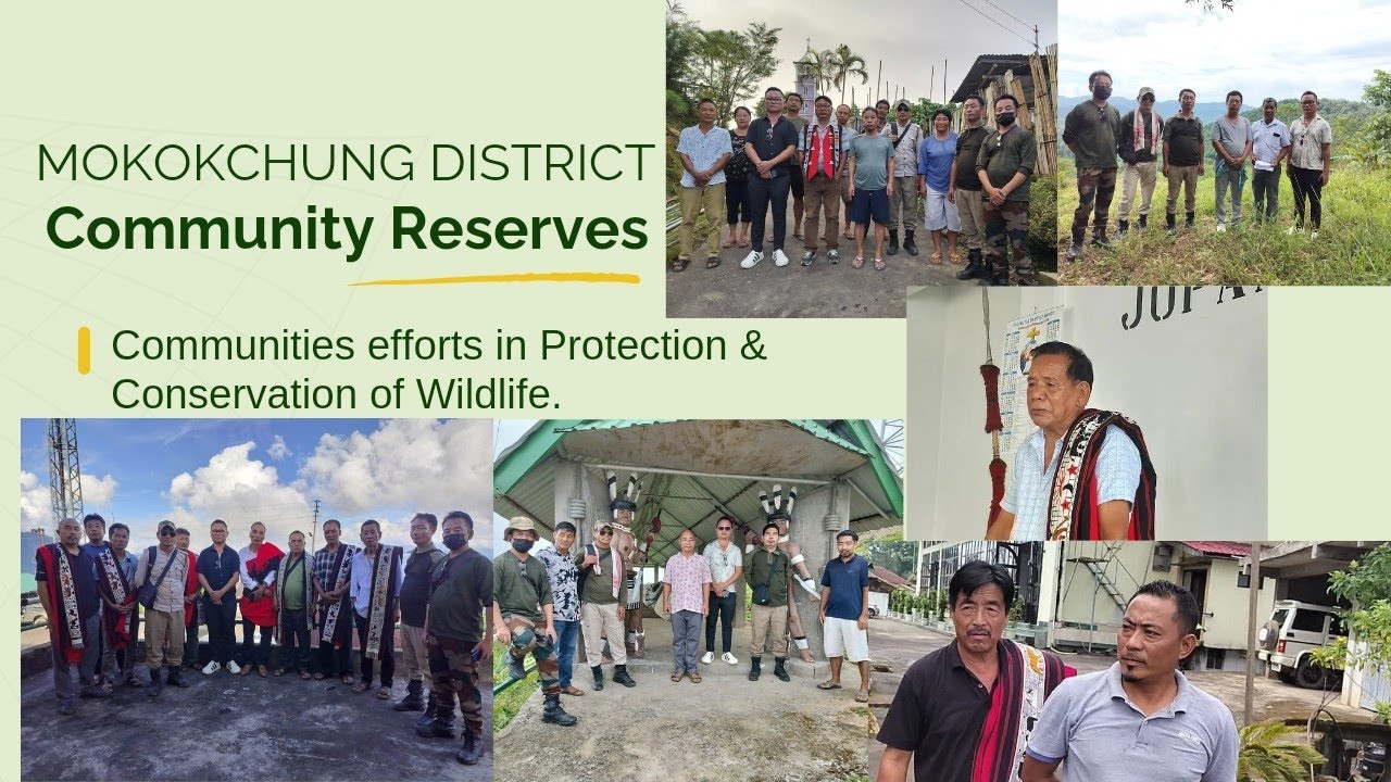 Community Reserve Forests under Mokokchung District | Nagaland ...