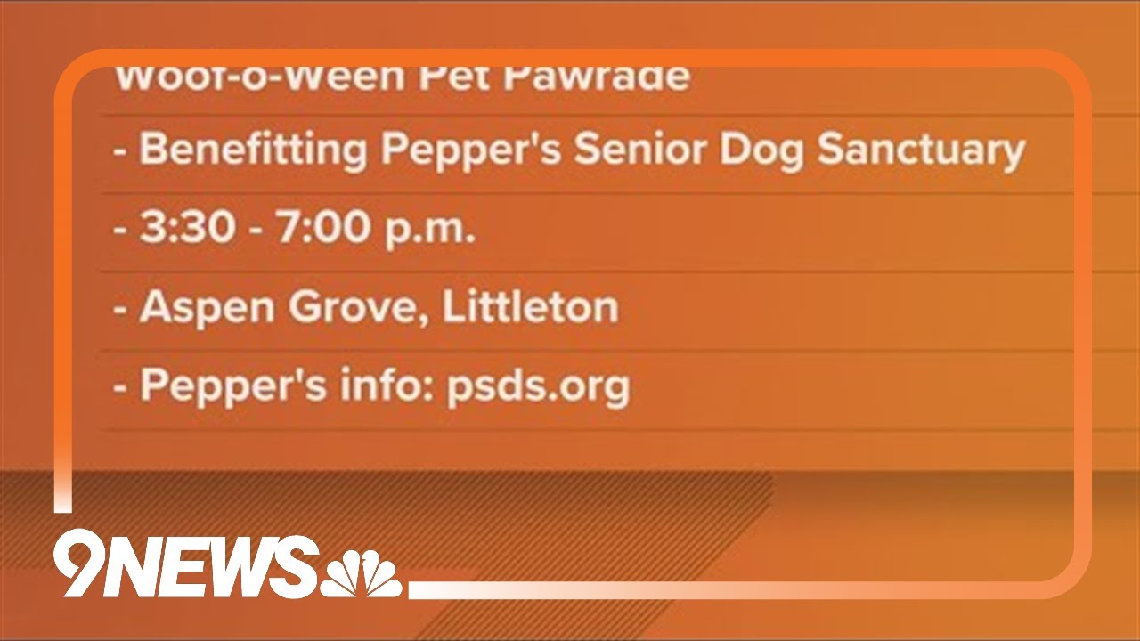First 'Woofoween Paw-rade' this weekend - YouTube