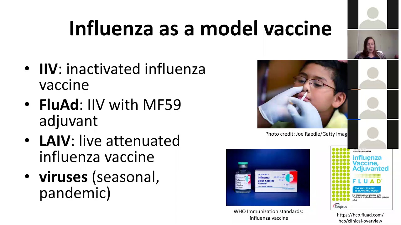 A tonsil organoid culture system for vaccine and adjuvant testing, Lisa ...