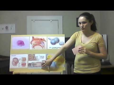 Informative Speech with a Visual Aid - YouTube