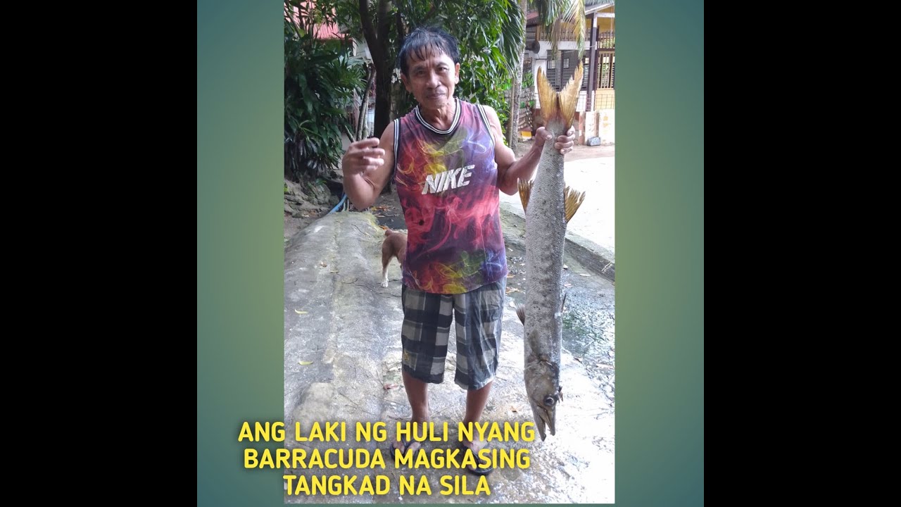 NAKAHULI SIYA NG BARRACUDA MAGKASING TANGKAD NA SILA JACKPOT.. - YouTube
