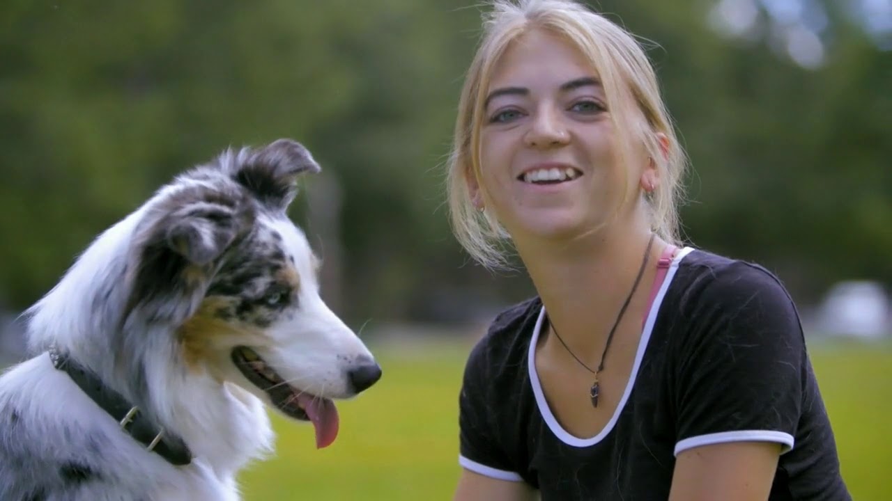 Animania S01E09 FRENCH 720p HDTV - YouTube