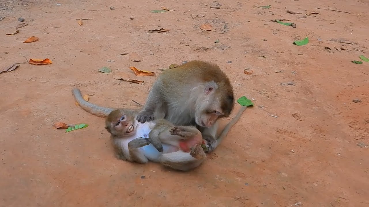 love is crazy, boss hug to confess his love, but alert to refuse that ...
