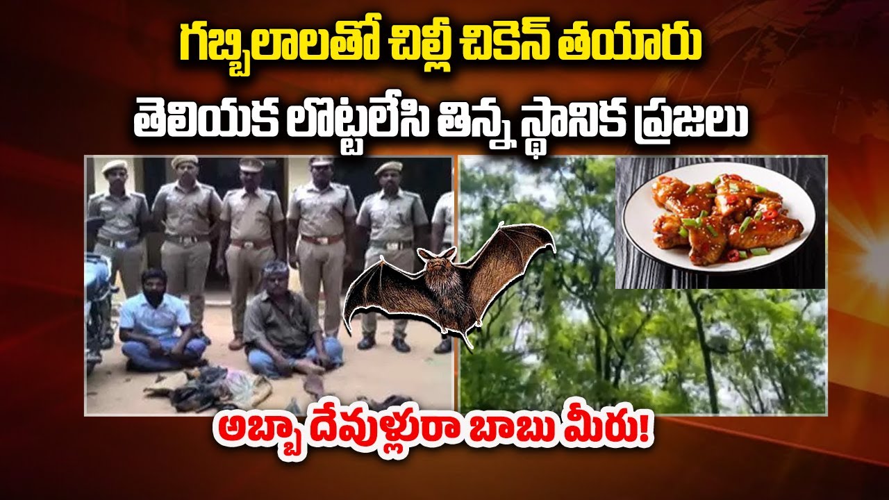 Chilli Chicken or Bat Meat ? 2 Men Caught Selling Cooked Fruit Bat Meat ...