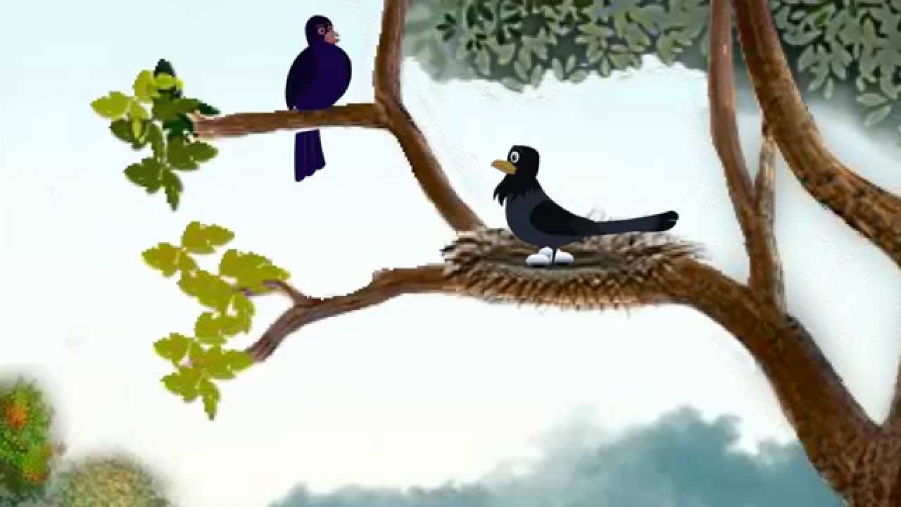 KOkil & Crow - YouTube