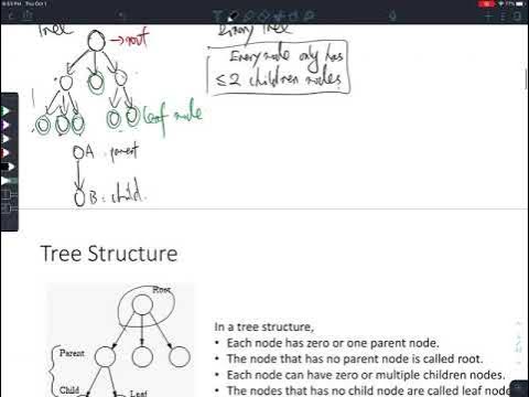 CSIT 212 Lecture 5 - Binary Search Tree - YouTube