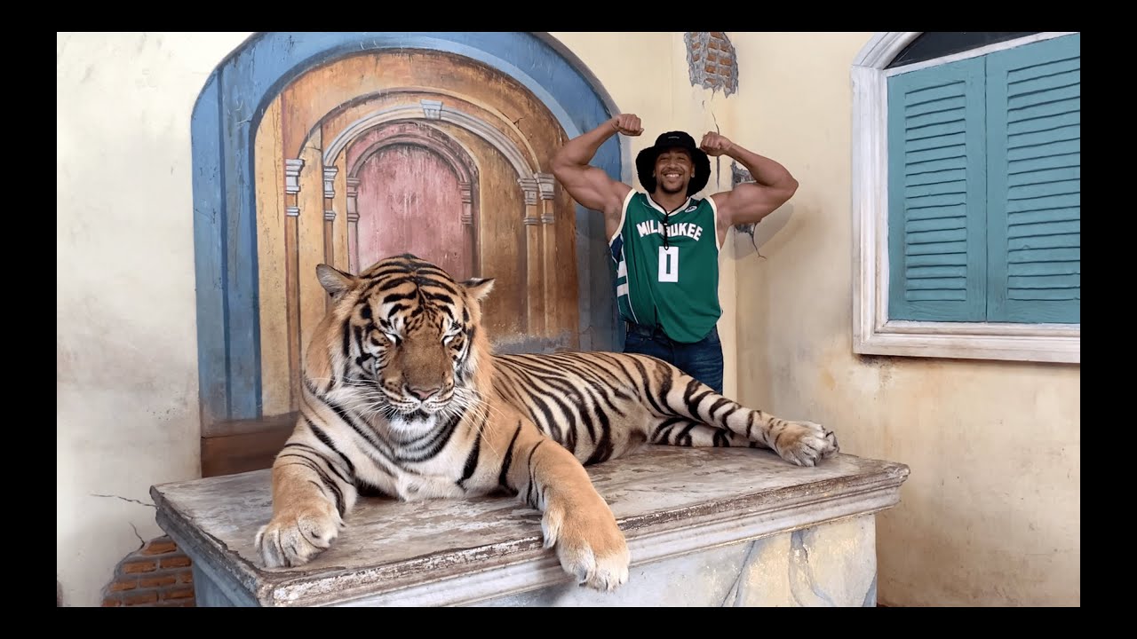 49/365 | MIKE TYSON sein SOHN schießt 44. MAGNUM! JETZT haben wir aber ...