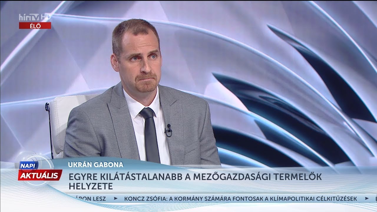 Napi aktuális - Cseh Tibor (2023-06-05) - HÍR TV - YouTube