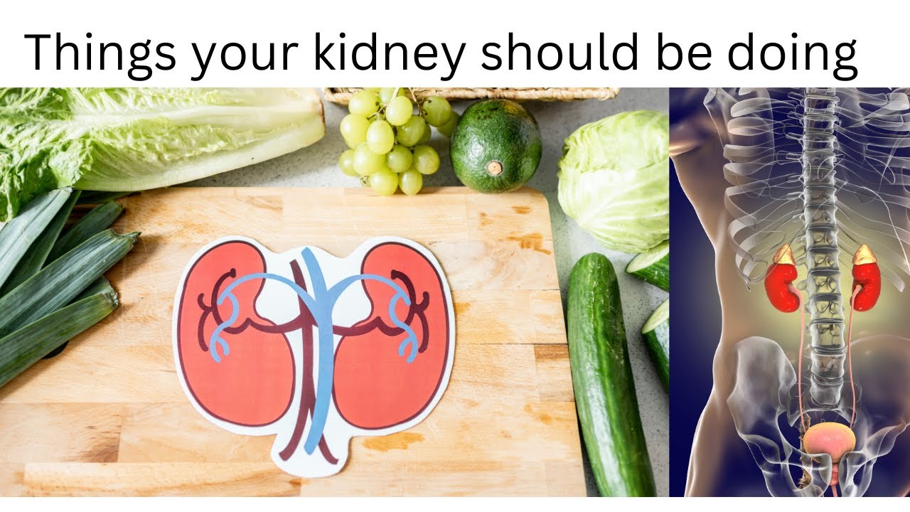 Understanding the Importance of Kidney Health - YouTube