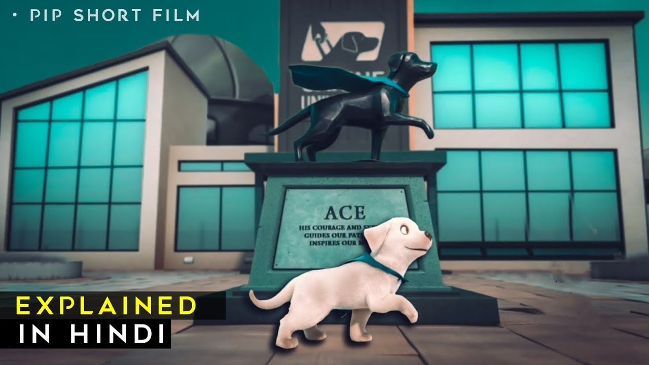 Pip Crtoon | Short Film | Explain in Hindi - YouTube
