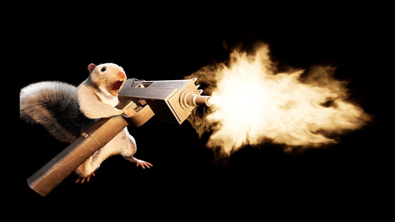 SWAG (squirrel with a gun) - YouTube