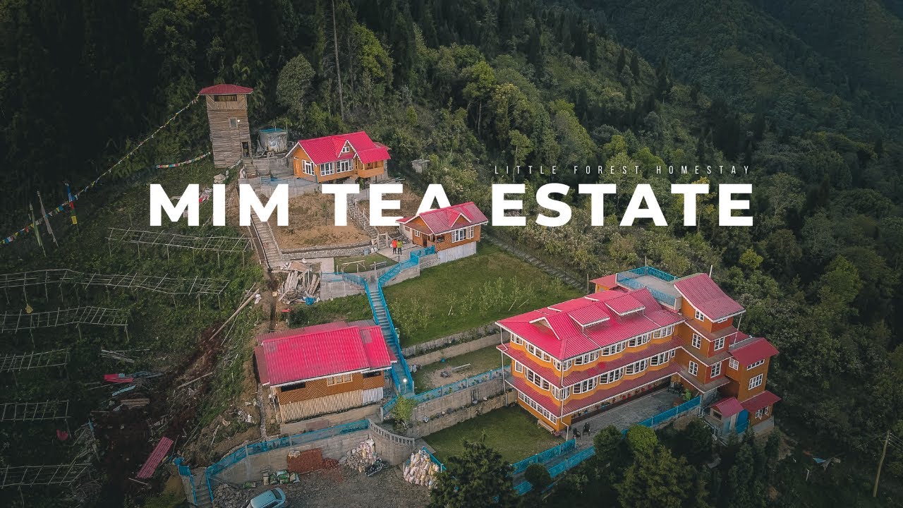 Mim Tea Estate - Little Forest Homestay | Weekend Getaway near ...