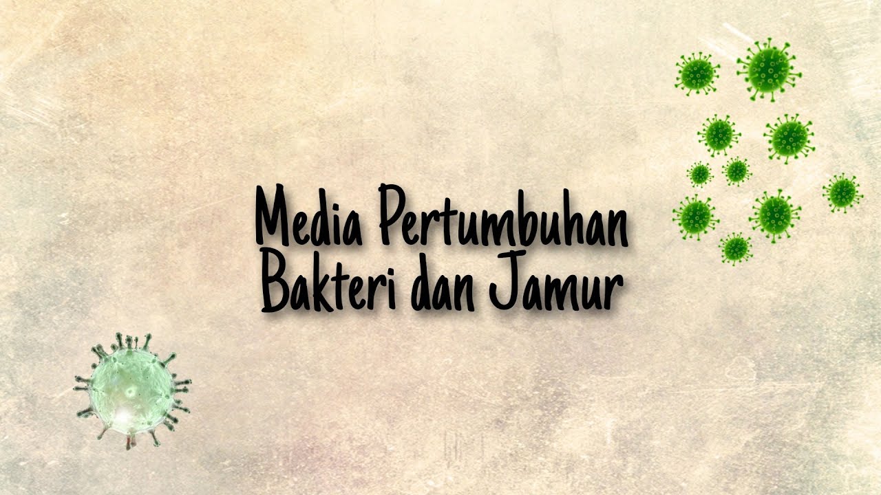 Media Pertumbuhan Bakteri dan Jamur | Bakteriologi dan Mikologi - YouTube