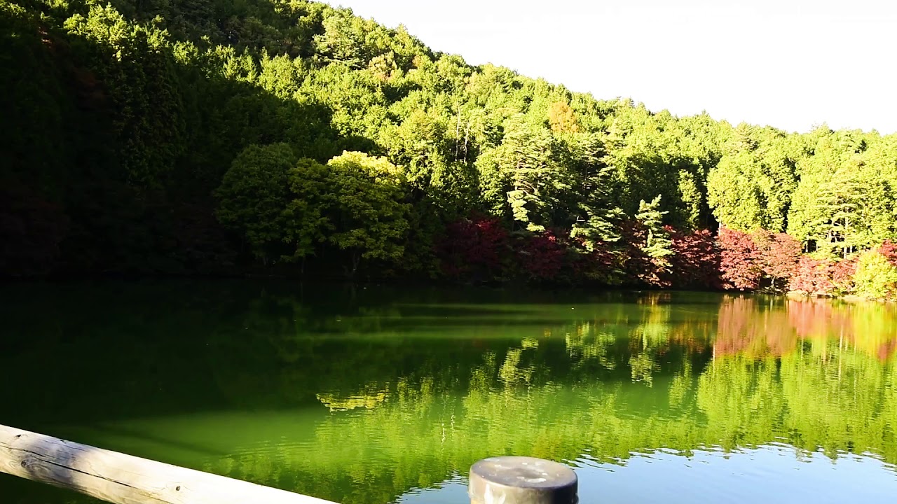 南伊那ヶ湖の紅葉 Lake Minami-Inagako in Autumn. Japan 2018 - YouTube