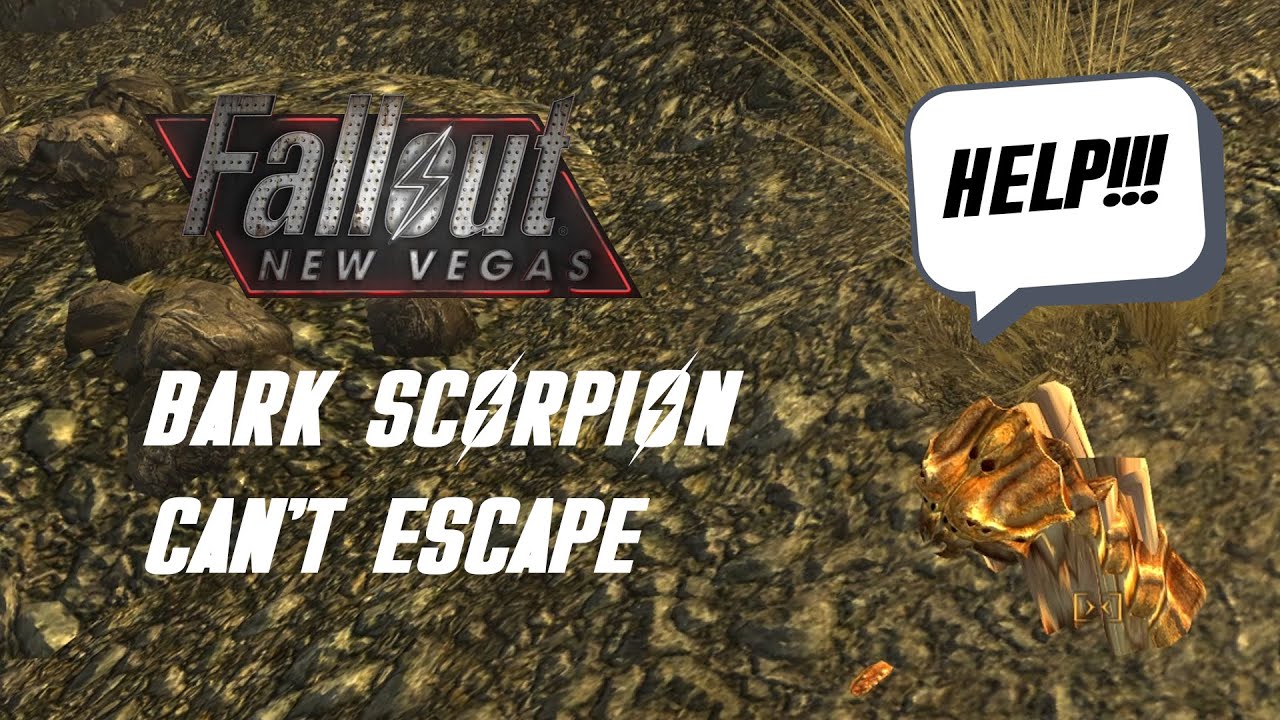 Fallout New Vegas - Bark Scorpion Can't Escape - YouTube