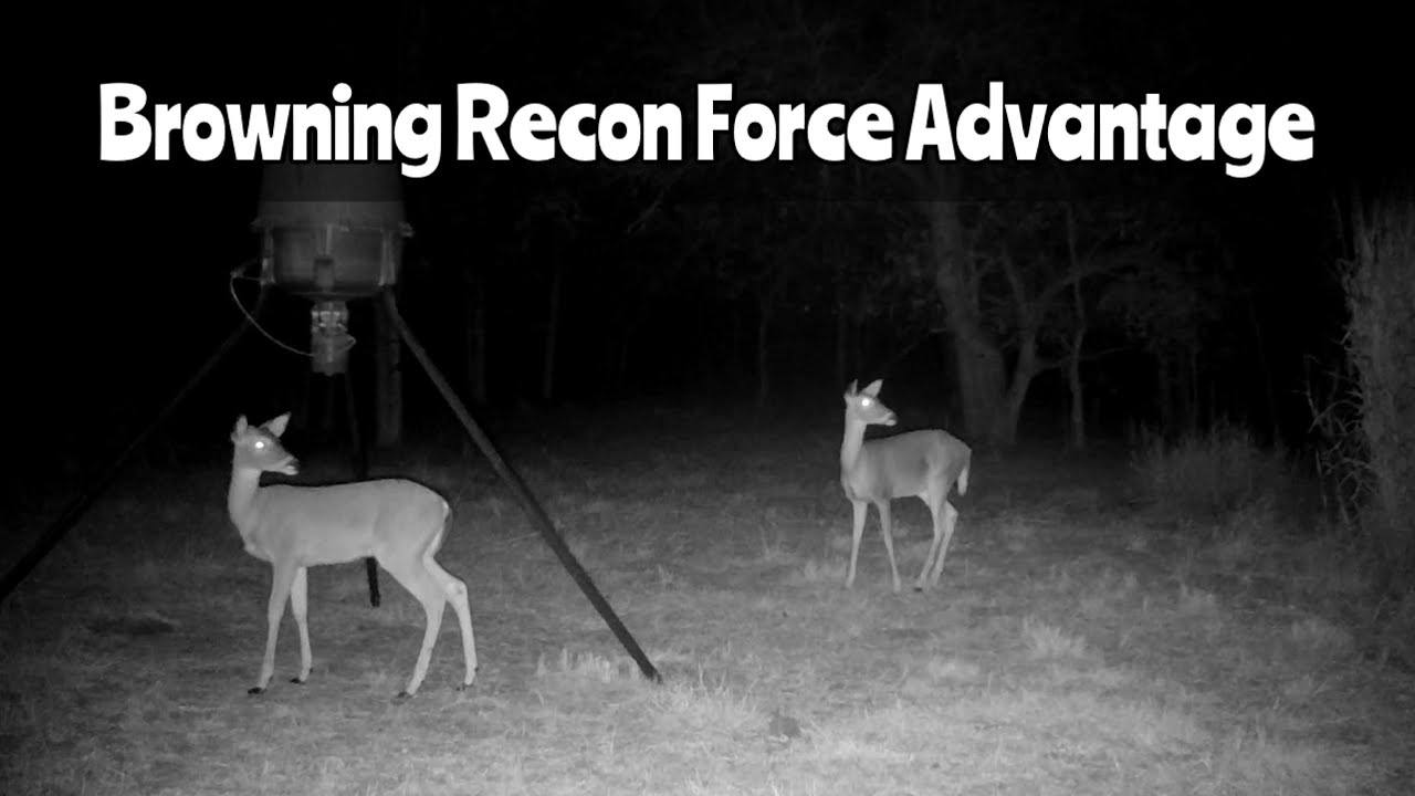 Deer Feeder #1: Browning Recon Force Advantage Trail Camera Dec. 12 ...