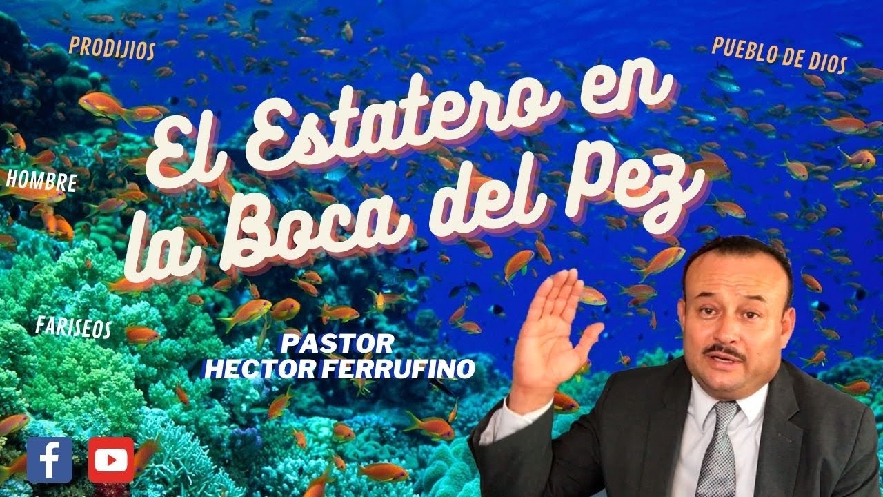 El Estatero en la Boca del Pez - YouTube