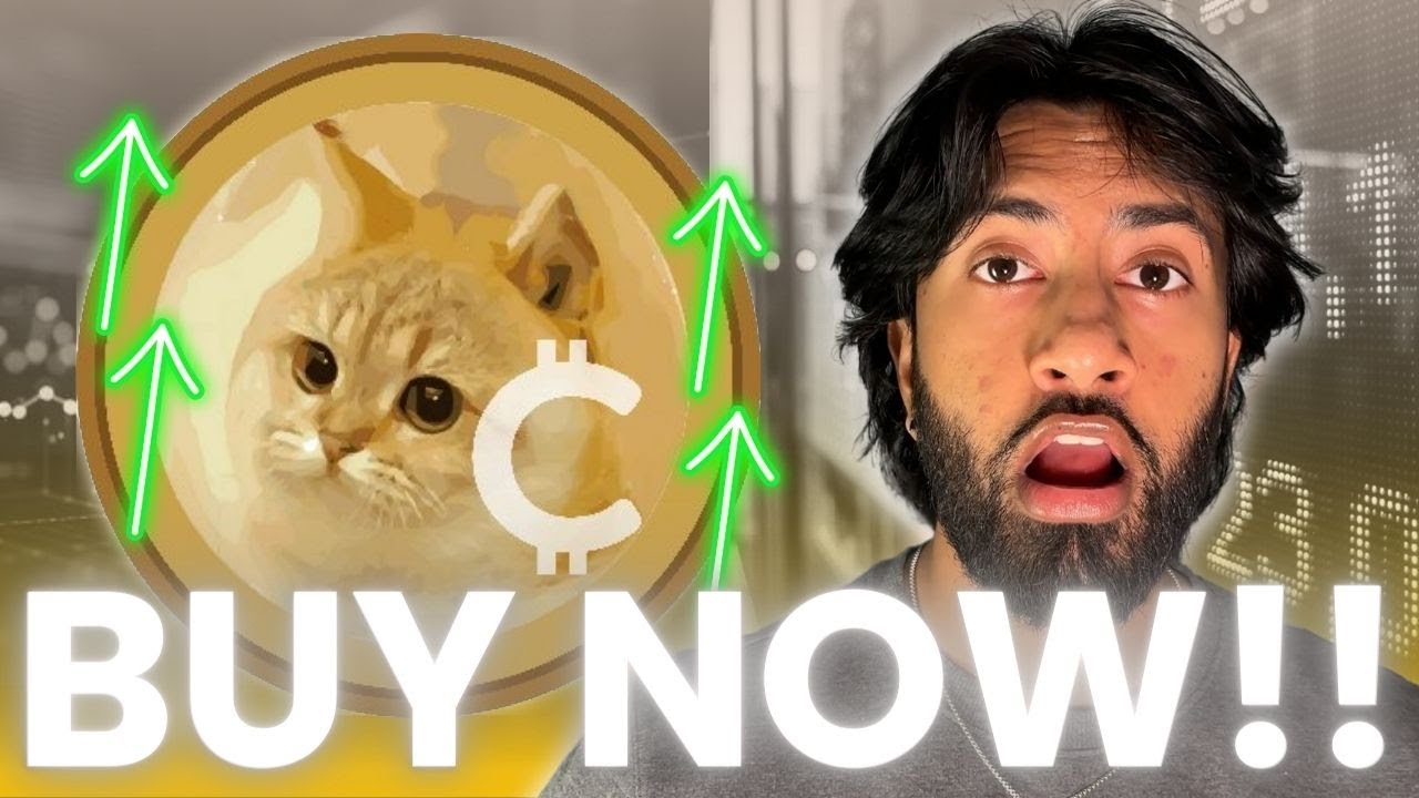 $CAT COIN TIME TO BUY? (100X GEM) MUST WATCH NOW BIGGEST CAT MEME COIN ...