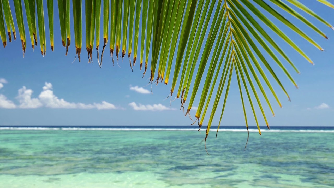 World Sounds 4 - Relaxing Upbeat Music from around the world - YouTube