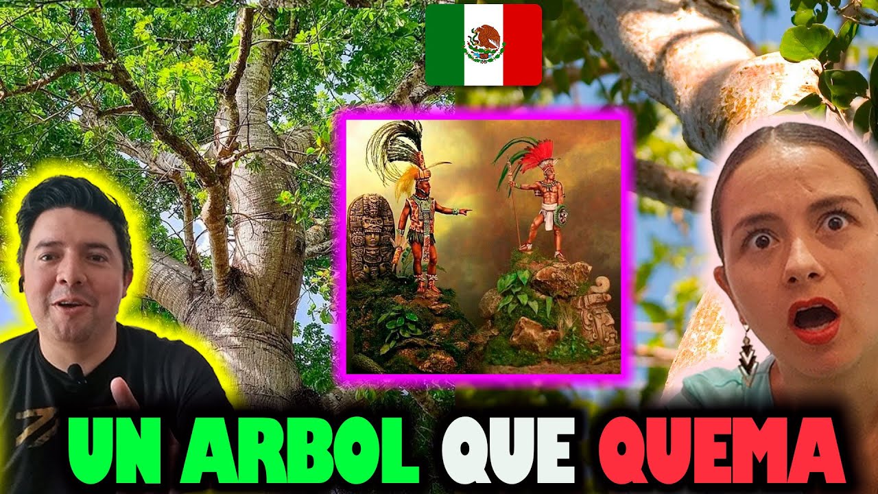 QUEDAMOS en SHOCK | La LEYENDA MEXICANA del CHECHÉN Y EL CHACÁ | México ...