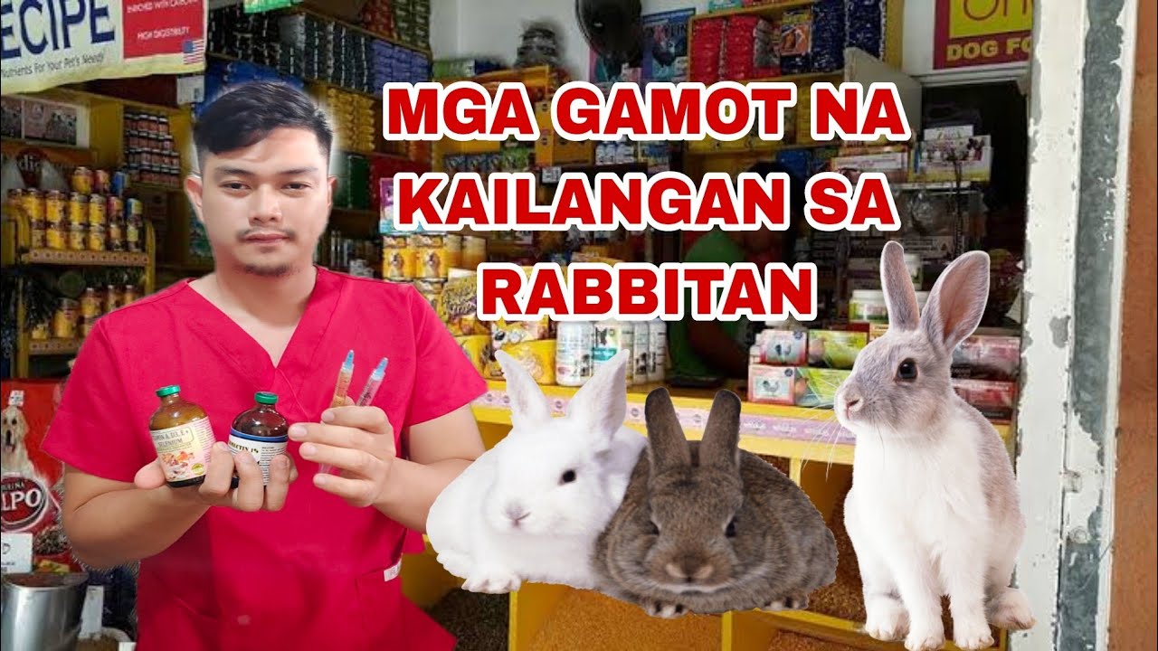 SAMAHAN NIYO KO BUMULI NG GAMOT NG RABBIT - YouTube