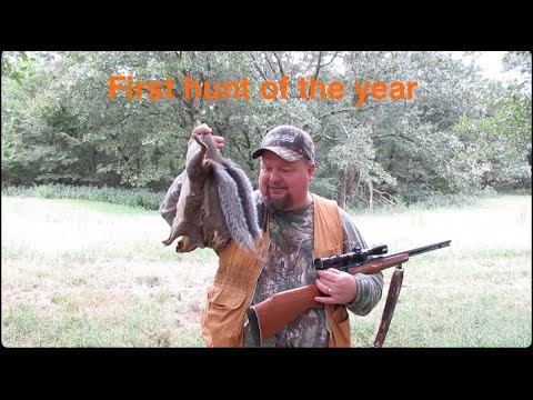 Quick Squirrel Hunt - YouTube