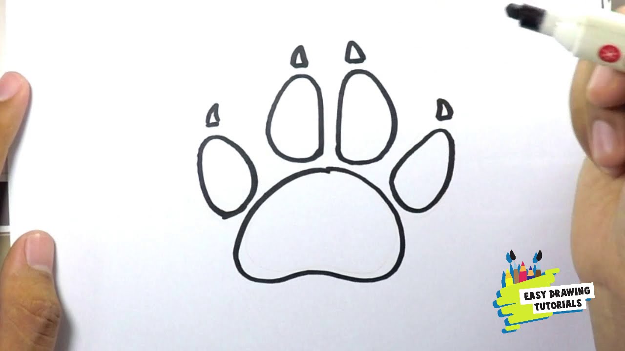 How to Draw dog paw - YouTube