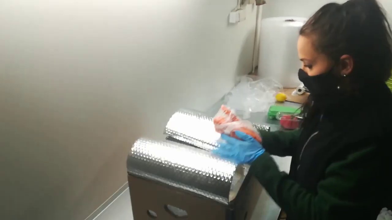 PAKOWANIE PACZKI Z OWOCAMI I WARZYWAMI DO WYSŁKI - YouTube