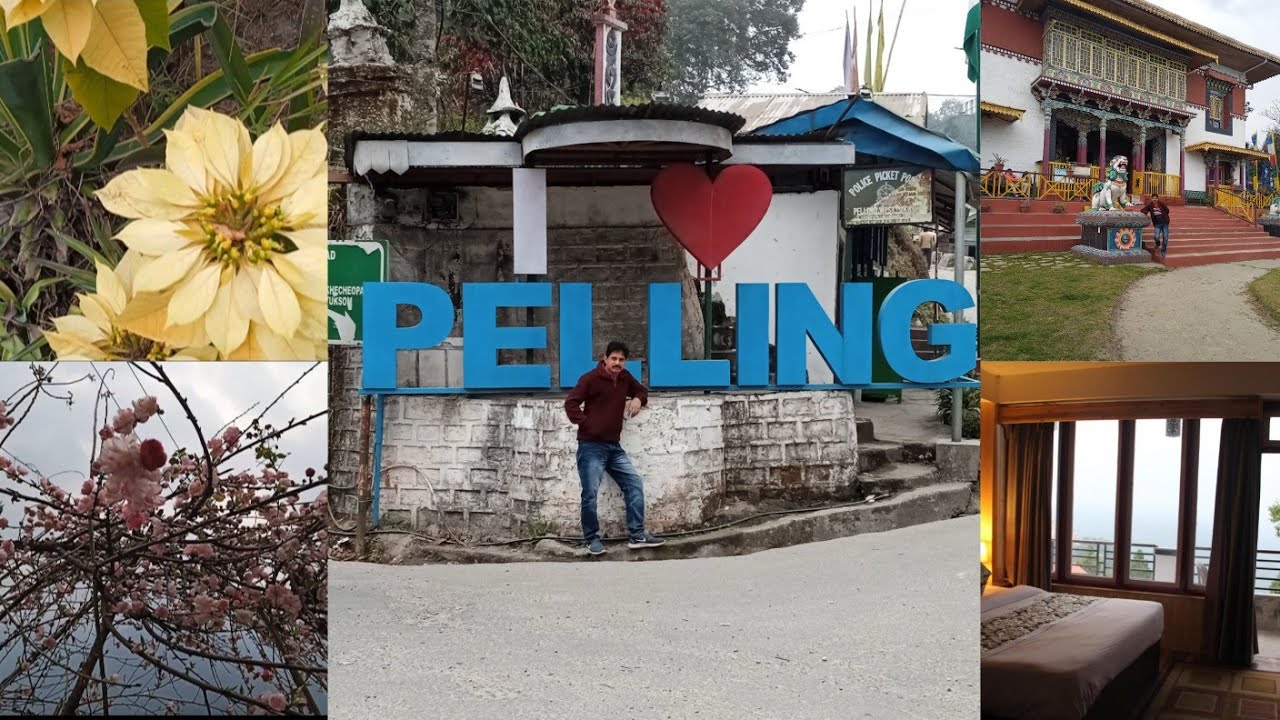 pelling tour।।upper pelling।।ঘুরে আসুন পেলিং স্বর্গ রাজ্যে . - YouTube
