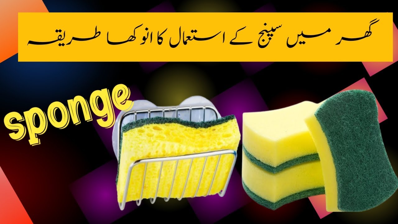10 Genius Sponge Hacks: Surprising Ways to Use a Simple Sponge at Home ...
