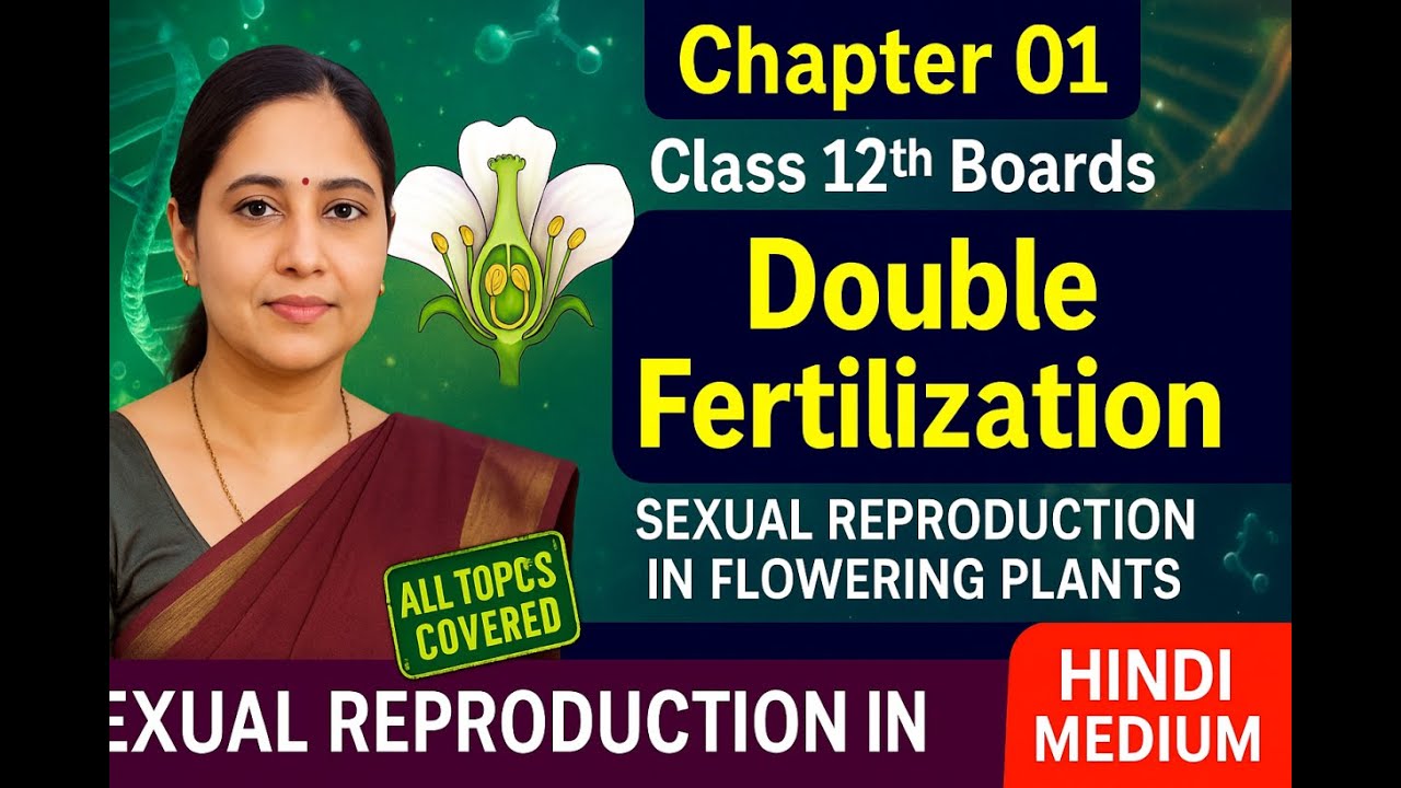 Double Fertilization | SEXUAL REPRODUCTION IN FLOWERING PLANTS All ...