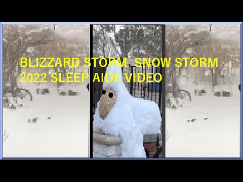 Blowing Snow | Snow Storm |  Blizzard Storm | Sleep Aide Video