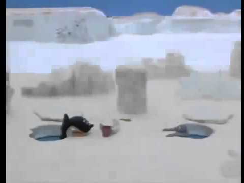 Pingu Go For Fishing - New Fresh Episode 004 [HD] - YouTube