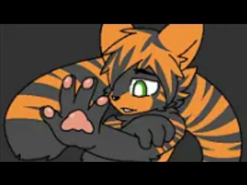 Orange Tiger Gaz Transfur - YouTube