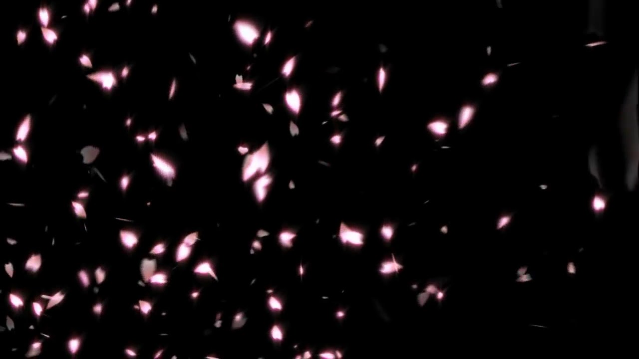 Cherry blossom overlay - YouTube