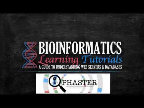 PHASTER Tutorial - YouTube