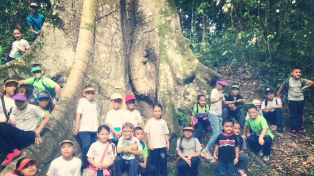 Visita al Bosque Estatal Monte Choca - YouTube