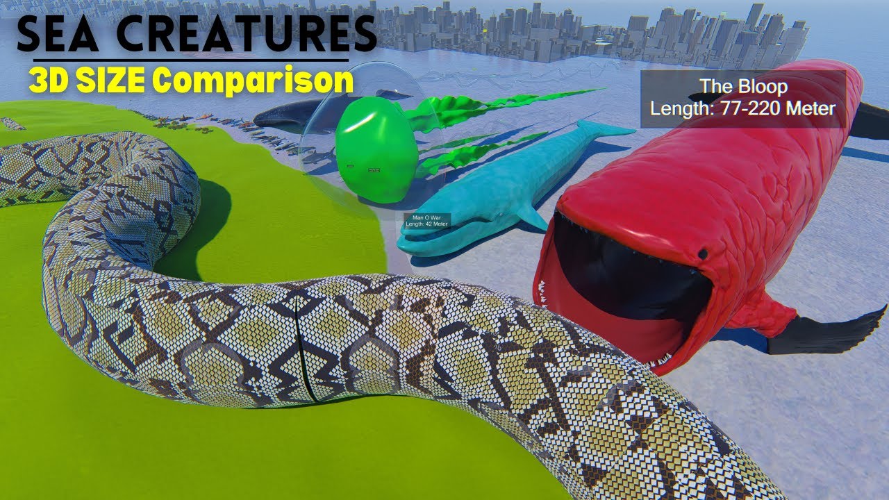 Sea Creatures Size Comparison 3D 2024 - YouTube