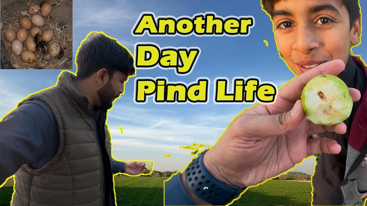 Another Day Pind Life | Pindo life ️ - YouTube