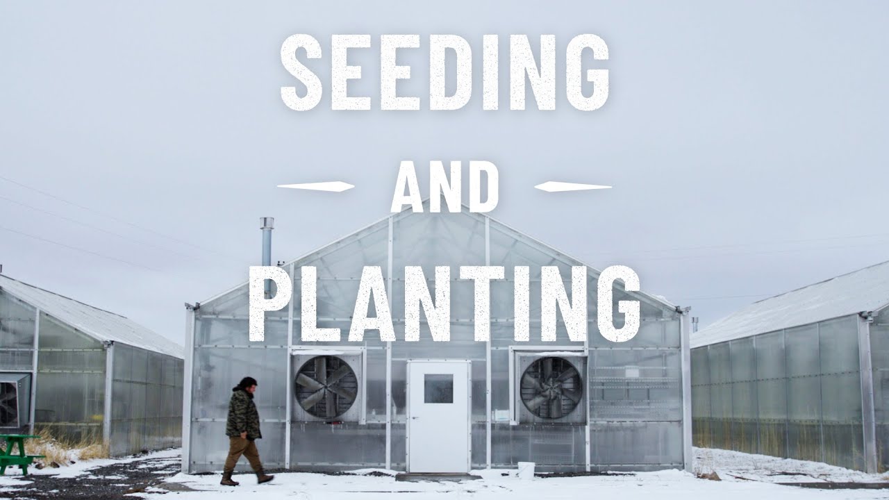 Native Seeds: Supplying Restoration - Seeding & planting - YouTube
