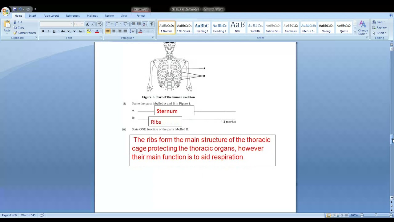 Human and Social Biology Paper 2 - YouTube