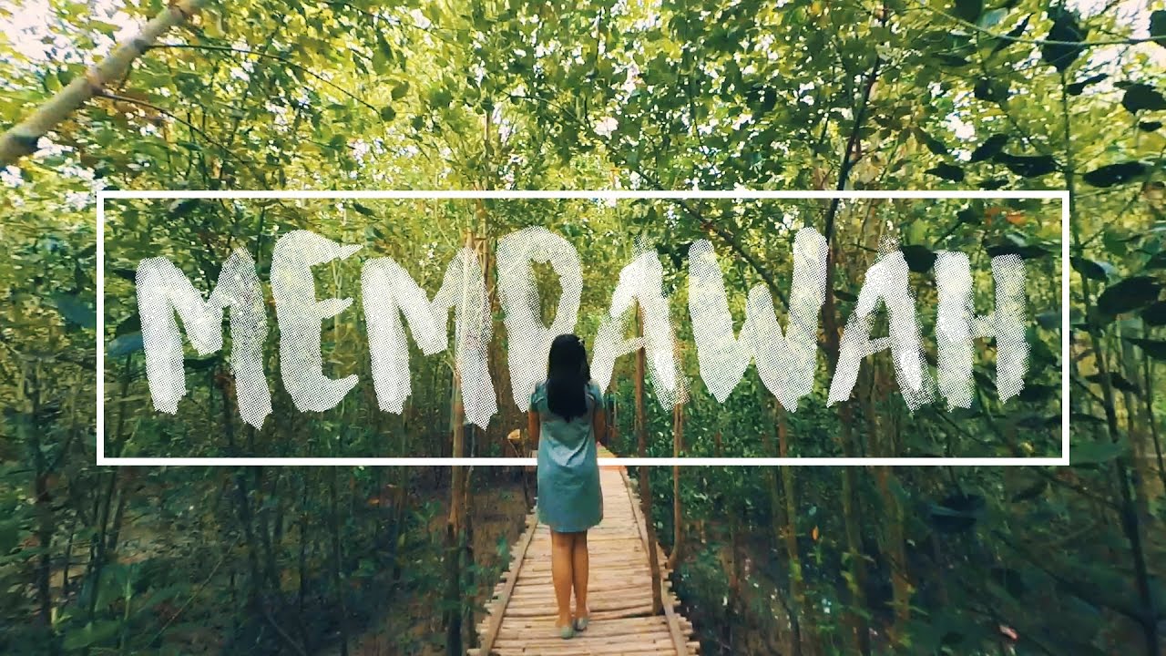 Mempawah - Mangrove Park & Wisata Nusantara - YouTube