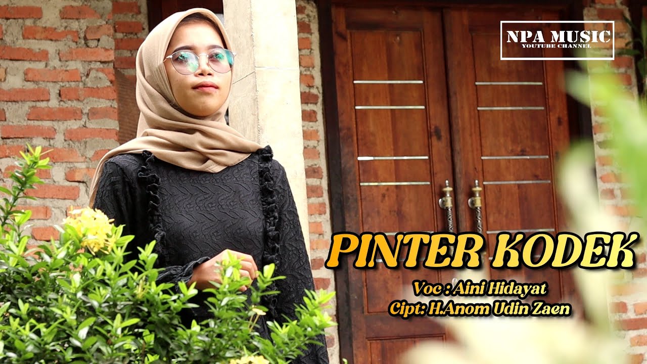 PINTER KODEK - Aini Hidayat ( Official Music Video ) - YouTube