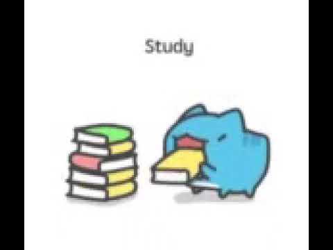 study hard meme