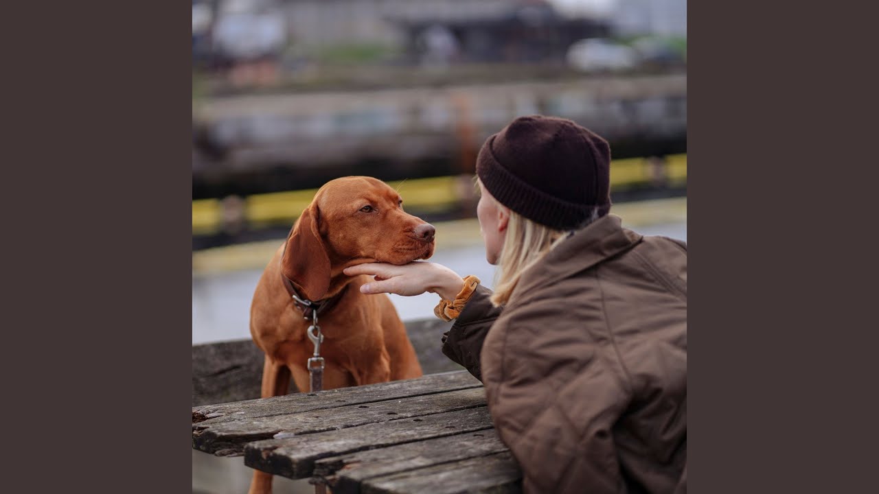 Calm Haven Of Affection - YouTube