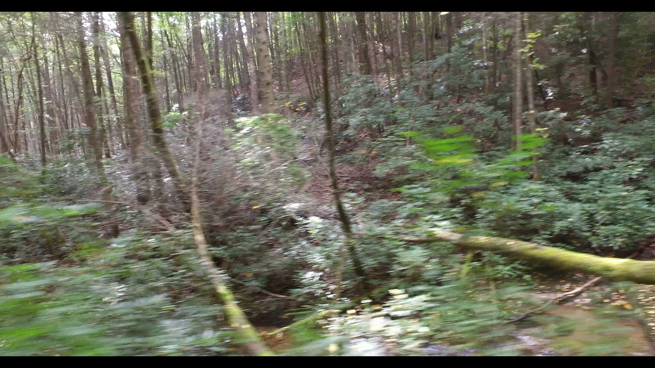 Cashes Valley Rd - YouTube