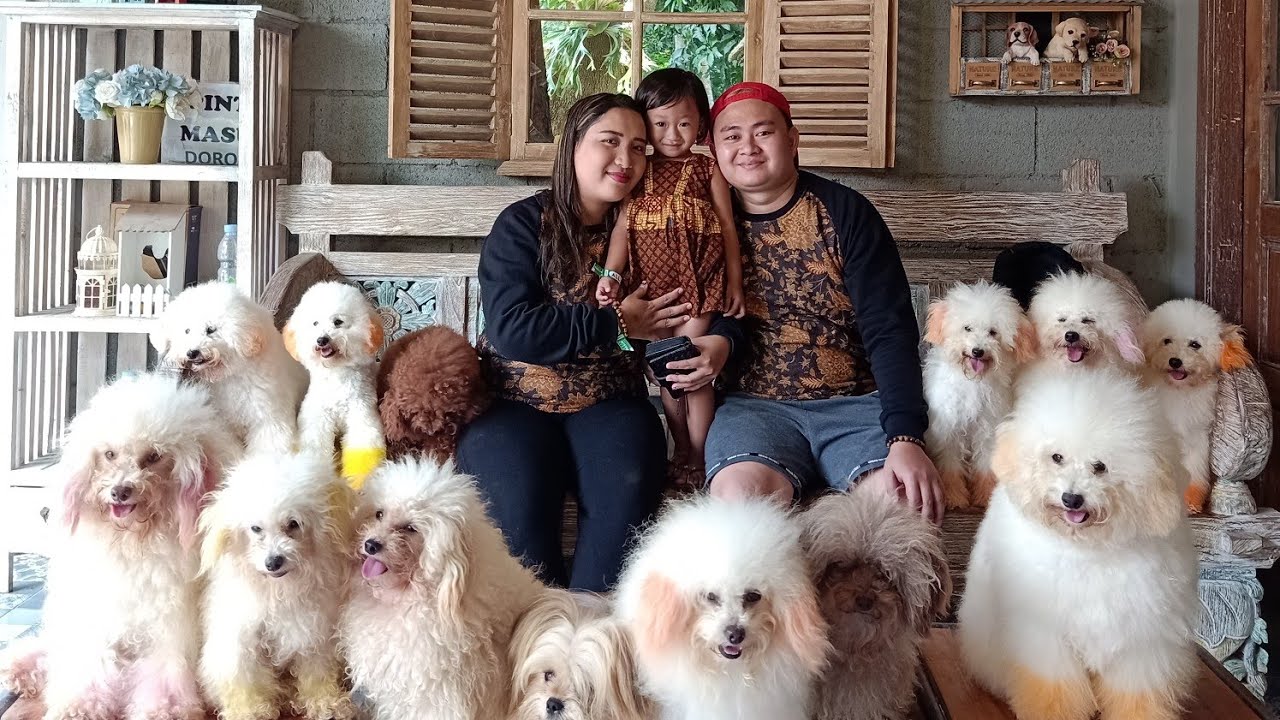 KEBUNKU | RUMAH GUGUK PETSHOP BANDUNG - YouTube